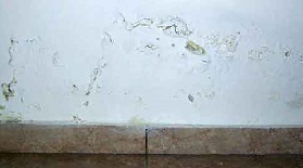 Rising damp-causes and solutions
